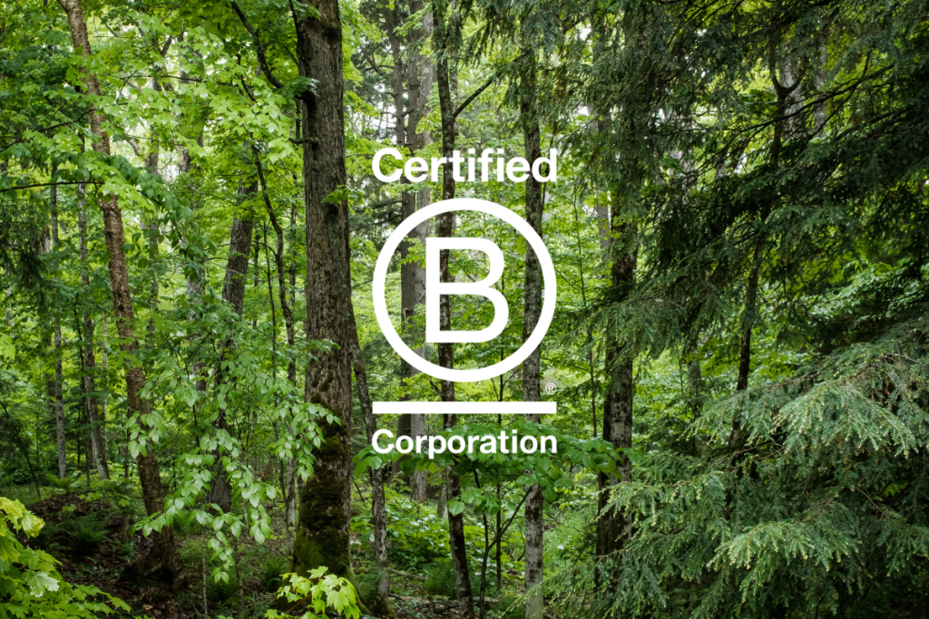 Peak DMC Vietnam achieves B Corp Status - Thien Minh Group | TMG | TMGROUP